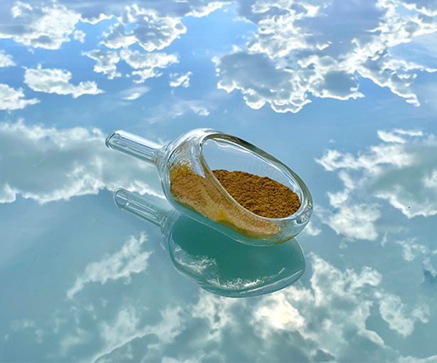 Pili has successfully industrialized a biobased aniline derivative - Pili